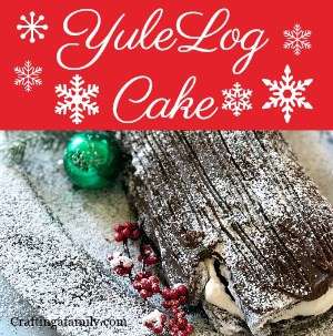 Christmas Yule Log Cake Recipe ~ Crafting a Family