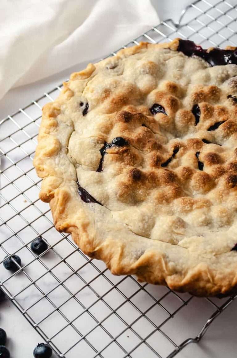 Easy Blueberry Pie with Fresh U-Pick Blueberries - Craftingafamily